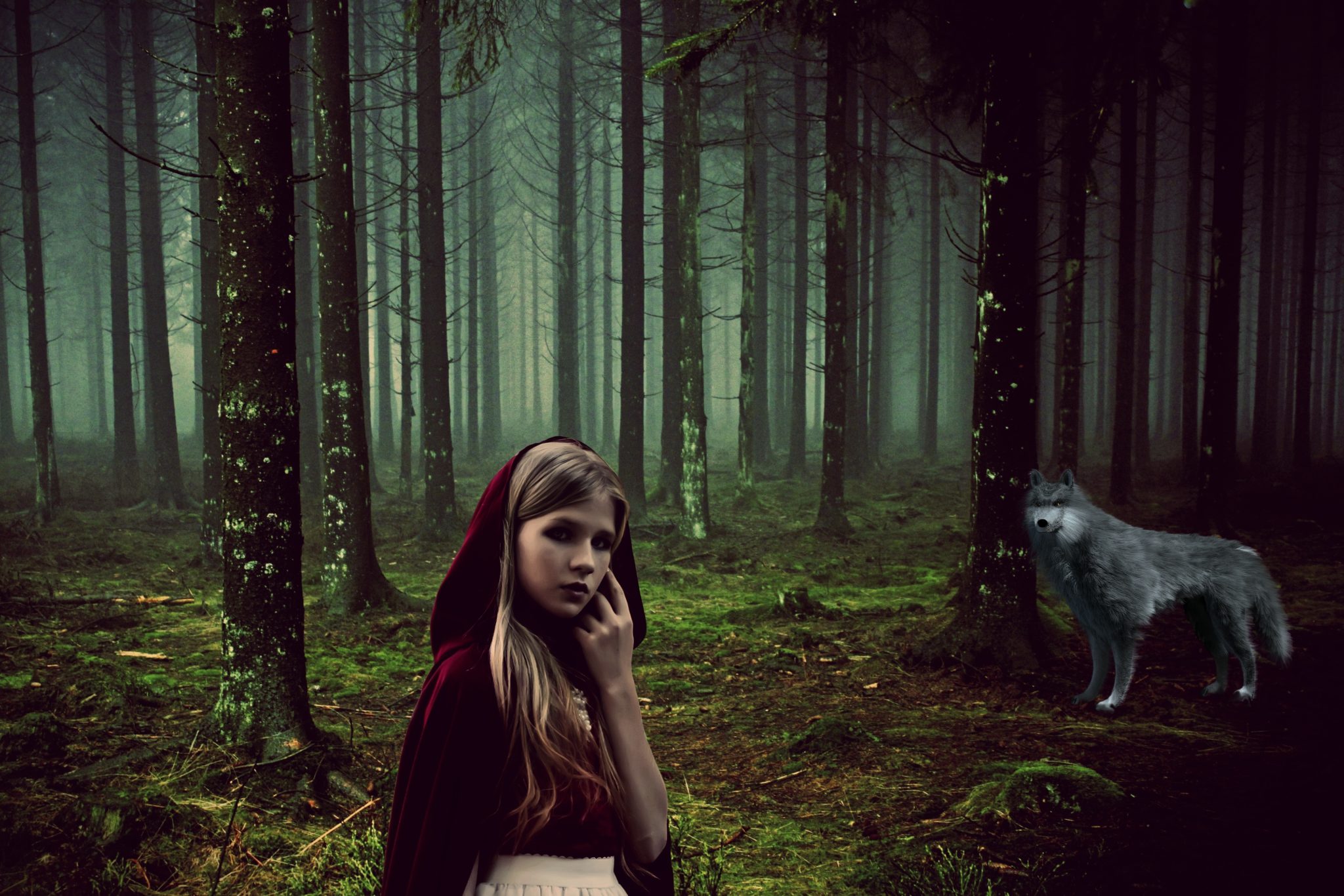 Roodkapje en de wolf - Anne-Marie Delfgaauw Therapie